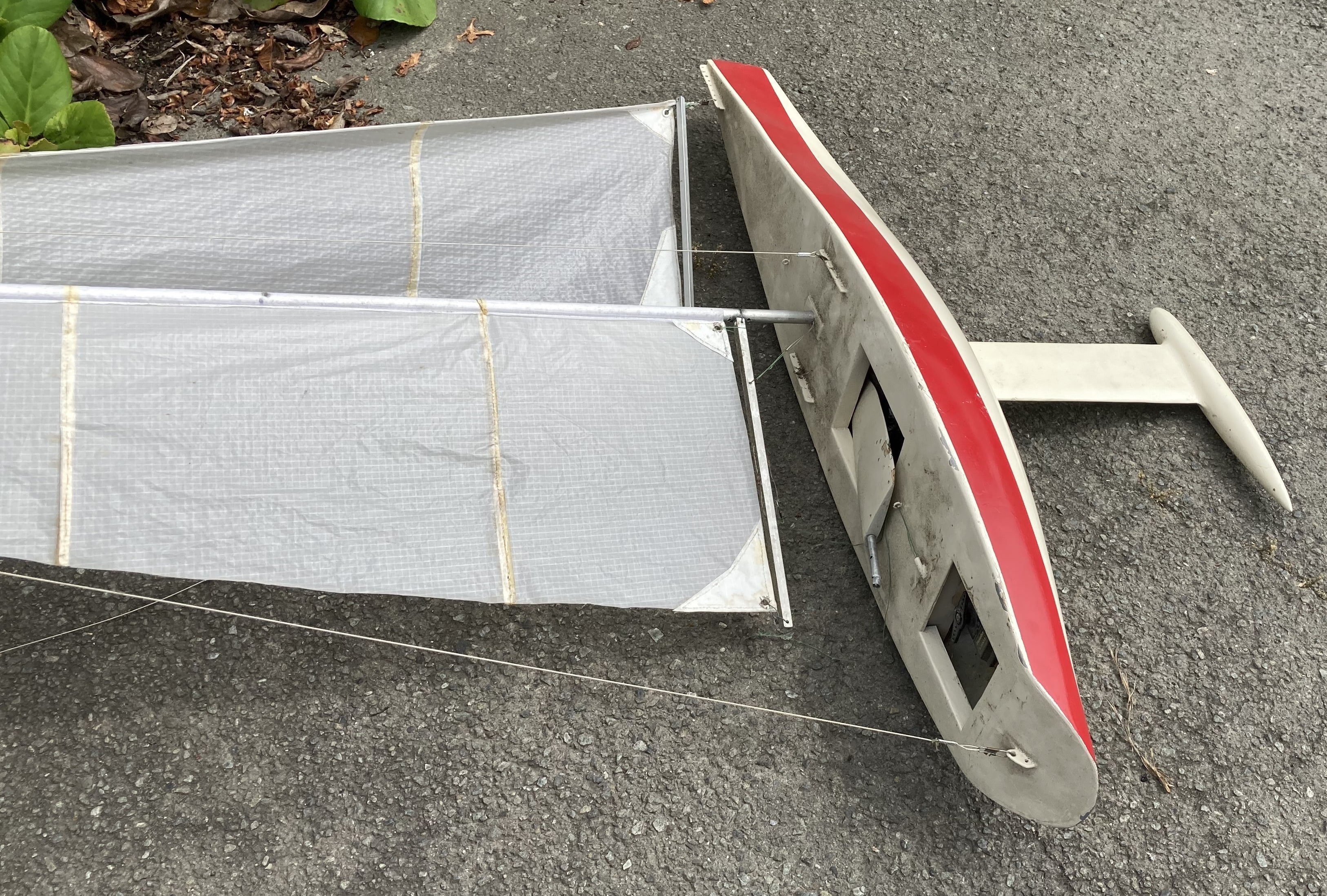 This Racing Sparrow has seen better days!